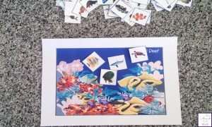 Animal Habitat Mats - Simple Living. Creative Learning