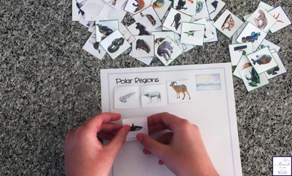 Animal Homes Box and Printable Animal Habitat Mats - Simple Living ...