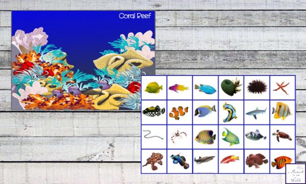 Animal Homes Box and Printable Animal Habitat Mats - Simple Living ...