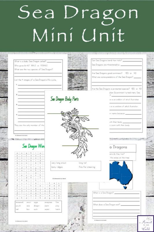 Sea Dragon Mini Unit - Simple Living. Creative Learning