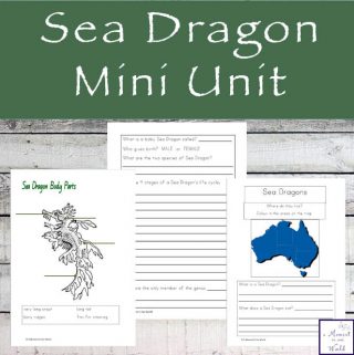 Sea Dragon Mini Unit - Simple Living. Creative Learning