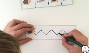Insect Tracing and Cutting Strips - Simple Living. Creative Learning