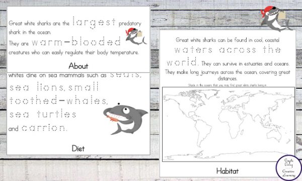 Learning about Great Whites with 'How to Survive as a Shark' - Simple ...