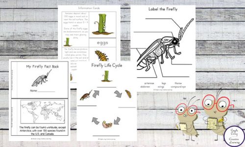 Firefly Life Cycle Book Companion Printable - Simple Living. Creative ...