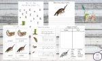 Firefly Life Cycle Book Companion Printable - Simple Living. Creative ...