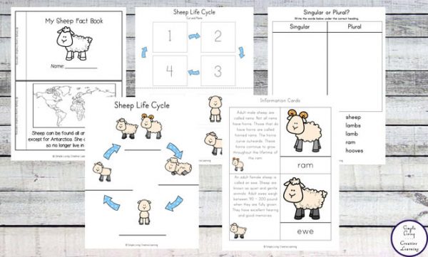Sheep Life Cycle Printable Pack - Simple Living. Creative Learning