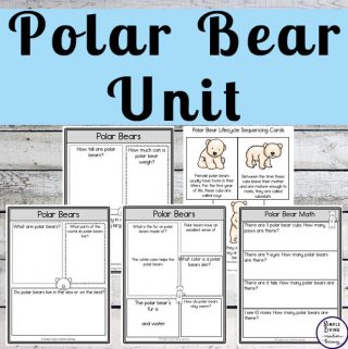 Polar Bear Unit - Simple Living. Creative Learning