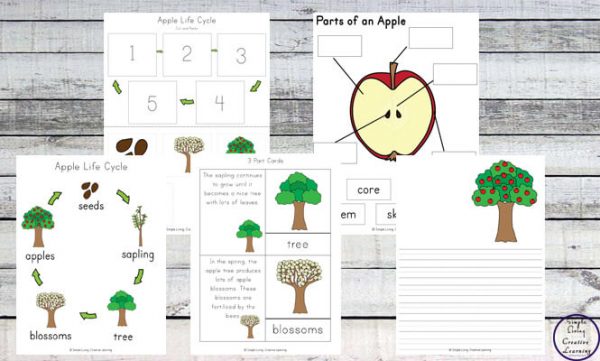 Apple Printable Pack - Simple Living. Creative Learning