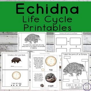 Homeschooling Archives - Simple Living. Creative Learning