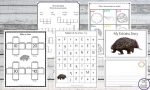 Echidna Life Cycle Printables - Simple Living. Creative Learning