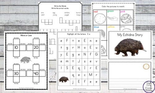 Echidna Life Cycle Printables - Simple Living. Creative Learning