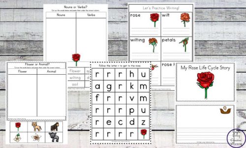 Rose Life Cycle Printable Pack - Simple Living. Creative Learning