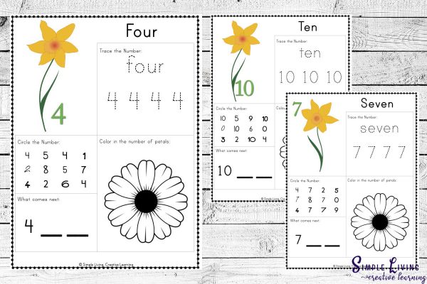 Daffodil Flower Number Practice - Simple Living. Creative Learning