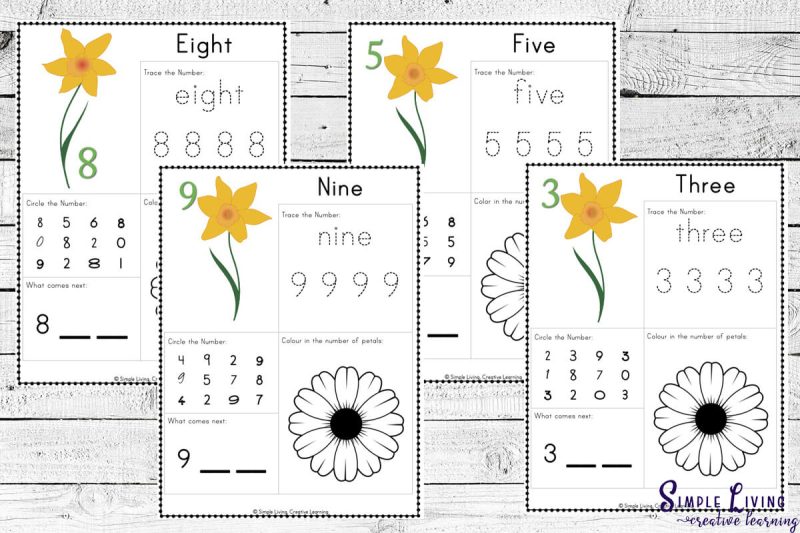 Daffodil Flower Number Practice - Simple Living. Creative Learning