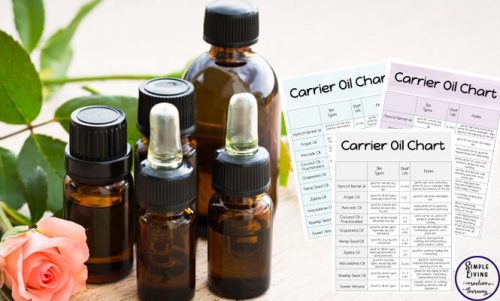 What are Carrier Oils and how do you use them? - Simple Living ...
