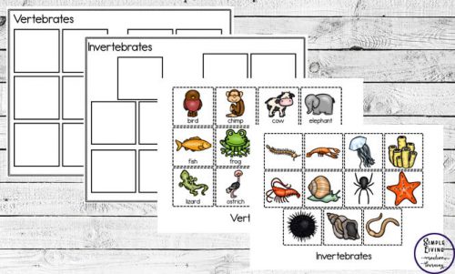 Vertebrates and Invertebrates Sorting Mats - Simple Living. Creative ...