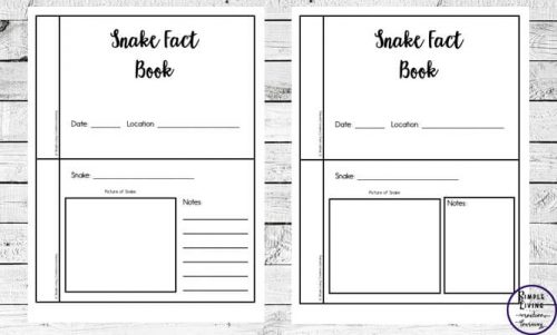 Snake Identification Cards - Simple Living. Creative Learning