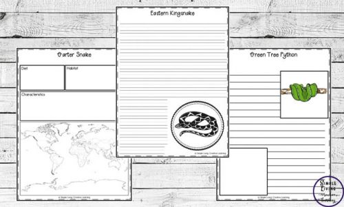 Snake Notebooking Pages - Simple Living. Creative Learning
