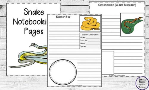 Snake Notebooking Pages - Simple Living. Creative Learning