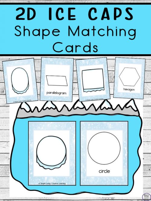 2d Ice Cap Shape Matching Cards - Simple Living. Creative Learning