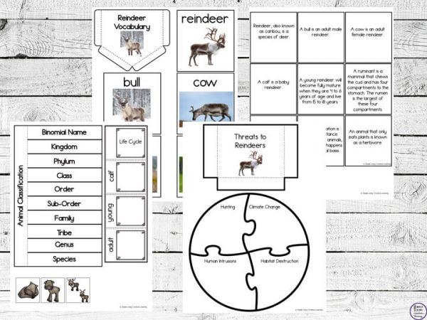 Reindeer Lapbook - Simple Living. Creative Learning