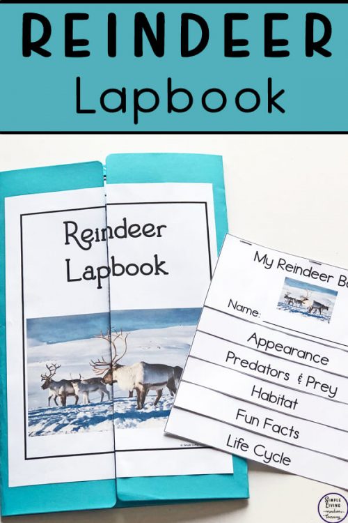 Reindeer Lapbook - Simple Living. Creative Learning