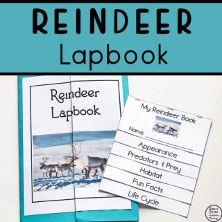 Reindeer Lapbook - Simple Living. Creative Learning