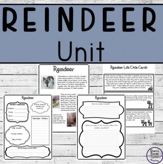 Reindeer Lapbook and Unit - Simple Living. Creative Learning