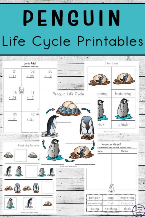 Penguin Life Cycle Printable Pack - Simple Living. Creative Learning