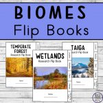 Biomes Flip Books - Simple Living. Creative Learning