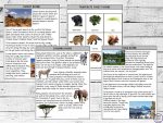 Biomes Flip Books - Simple Living. Creative Learning