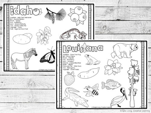 US State Symbols Activity Mats - Simple Living. Creative Learning