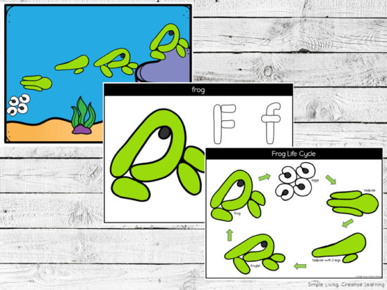 Frog Life Cycle Playdough Mats - Simple Living. Creative Learning