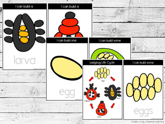 Ladybug Life Cycle Playdough Mats - Simple Living. Creative Learning