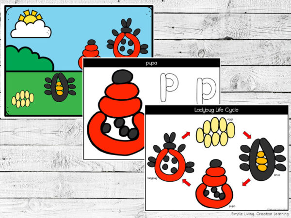 Ladybug Life Cycle Playdough Mats - Simple Living. Creative Learning