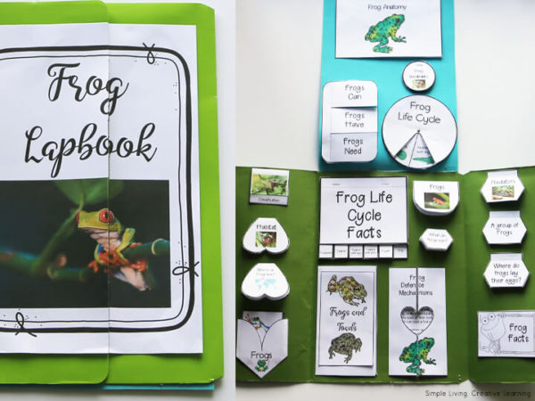 Frog Lapbook - Simple Living. Creative Learning