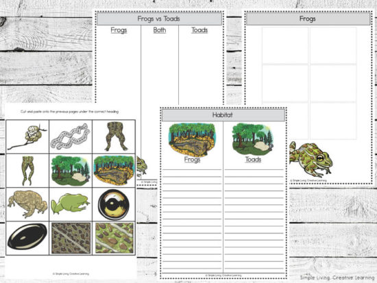 Frogs Vs Toads Printables - Simple Living. Creative Learning