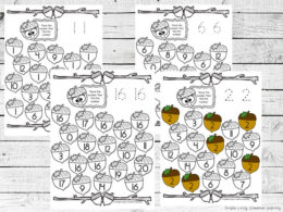 Acorn Number Find - Simple Living. Creative Learning