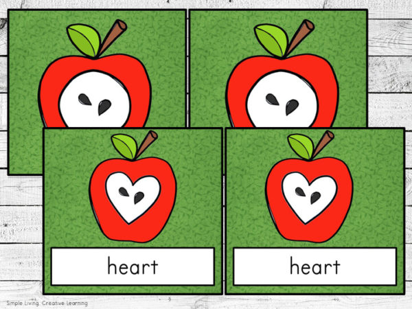 2D Apple Shape Matching Cards - Simple Living. Creative Learning