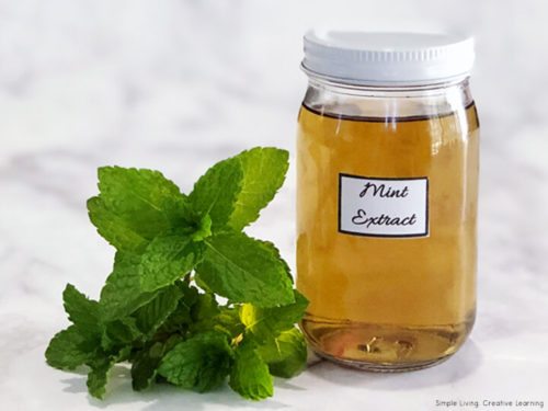 How to Make Homemade Mint Extract - Simple Living. Creative Learning