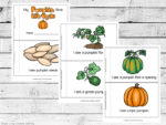 Pumpkin Life Cycle Readers - Simple Living. Creative Learning