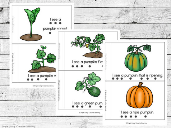 Pumpkin Life Cycle Readers - Simple Living. Creative Learning