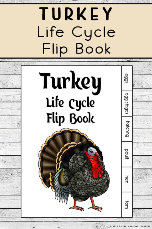 Turkey Life Cycle Flip Book - Simple Living. Creative Learning