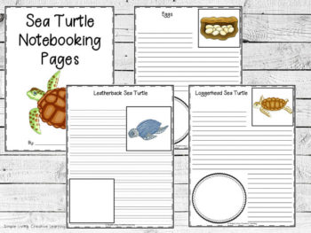 Sea Turtle Notebooking Pages - Simple Living. Creative Learning