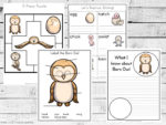 Barn Owl Life Cycle Printables - Simple Living. Creative Learning