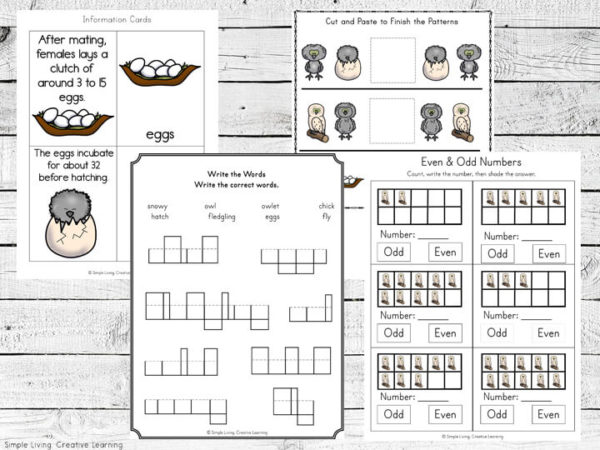 Snowy Owl Life Cycle Printables - Simple Living. Creative Learning