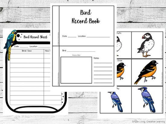 Bird Identification Cards - Simple Living. Creative Learning
