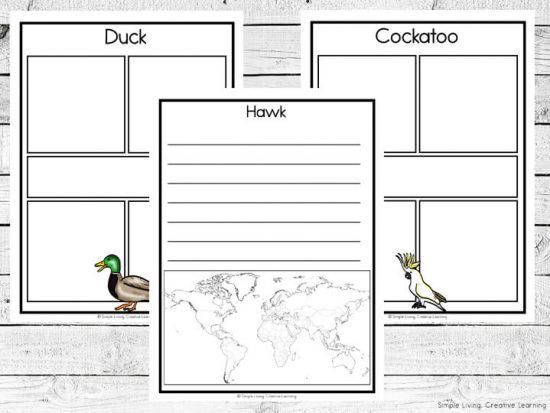 Bird Notebooking Pages - Simple Living. Creative Learning