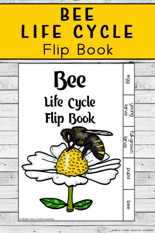 Bee Life Cycle Flip Book - Simple Living. Creative Learning