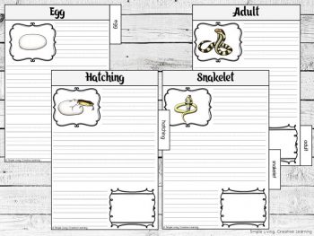 Snake Life Cycle Flip Books - Simple Living. Creative Learning